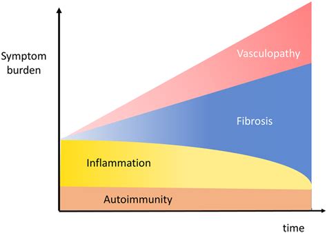 Autoimmune Disease Lung Fibrosis And Vasculopathy Autoimmune