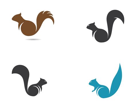 Squirrel Icon Set Isolated On White 1121233 Vector Art At Vecteezy