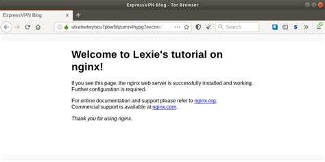 How To Set Up A Home Server As A Bitcoin Node ExpressVPN Blog