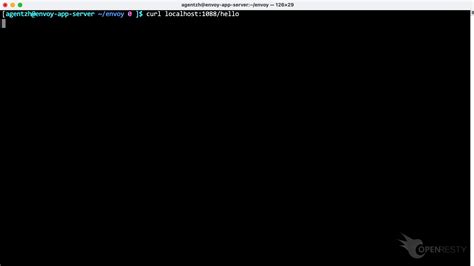 How Cpu Time Is Spent Inside Envoy Servers Using Openresty Xray Openresty Official Blog