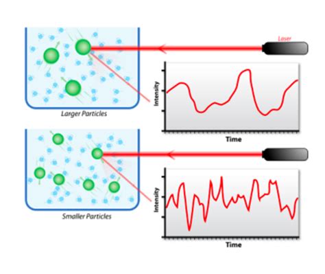 Packet 14 Macromolecule Characterization Flashcards Quizlet