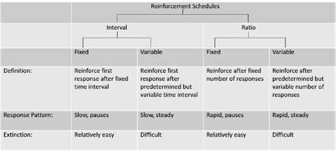 Matrix Notes For A Lesson On Reinforcement Schedules Download