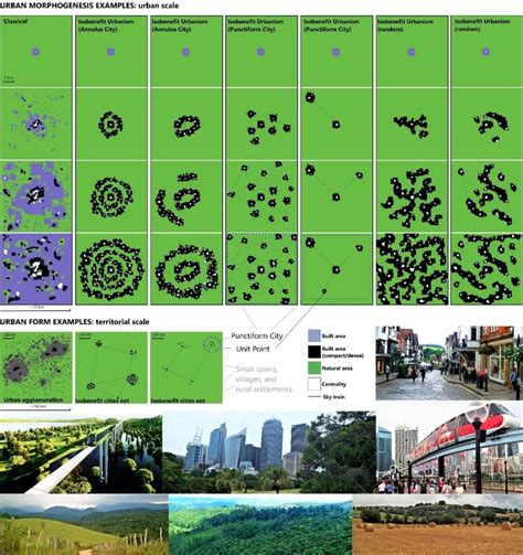 Urban Morphogenesis Examples Time On The Vertical Lines Picture