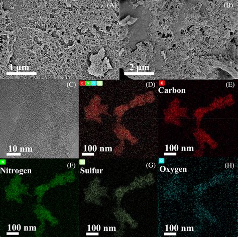 Natural Polymers As Sustainable Precursors For Scalable Production Of N