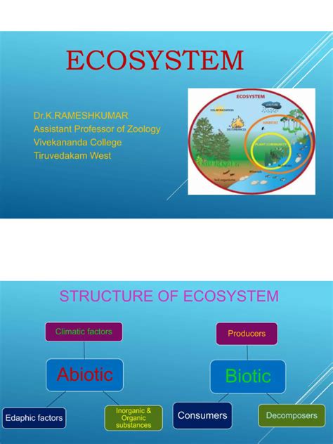 Environmental Dynamics Pdf