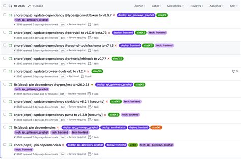 BranchPrefix Is Not Applied Issue 13538 Renovatebot Renovate GitHub