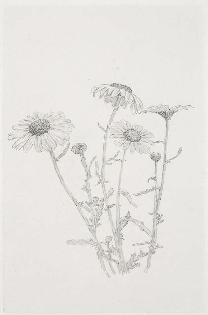 James Nelson Untitled 2019 Available For Sale Artsy