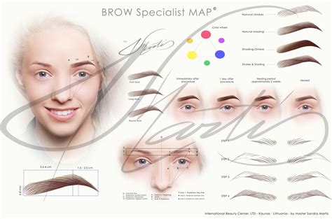 Step By Step Brow Mapping Diagram