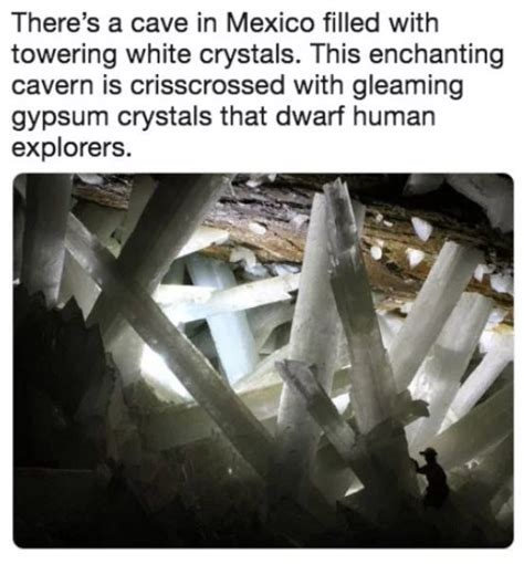 14 Amazing Things You Never Knew Existed Wow Gallery Ebaums World