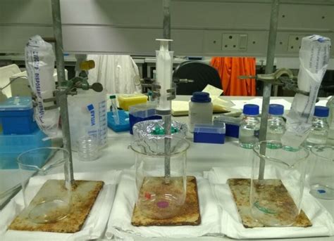 2 Fucoidan Purification Columns Crude Fucoidan Extracts From S