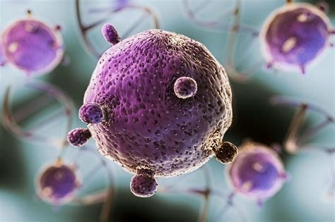 Chlamydia Trachomatis Aqualab