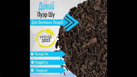 Дикий Пуэр Шу - YouTube