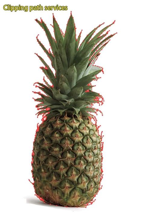 Nahid Hasan On Linkedin Backgroundremoveservice