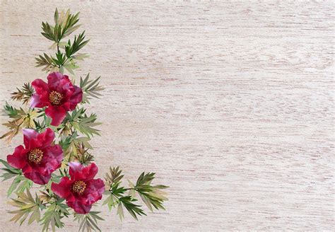 Gambar Bunga Untuk Kartu Ucapan 55 Koleksi Gambar