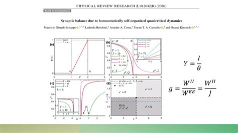 Homeostatic Criticality In Stochastic Integrate And Fire Neurons Ppt