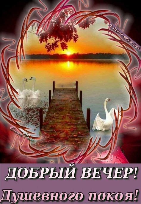 Pin by Елена Экономцева on Быстрое сохранение Beautiful flowers pictures Flower pictures