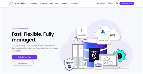 Top Cloud And Multi Cloud Database Hosting Services In 2025