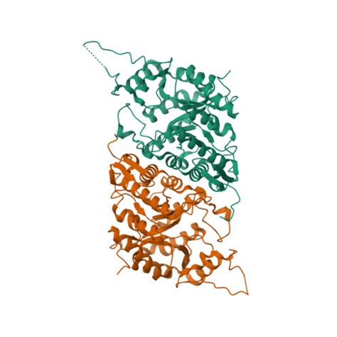 Rcsb Pdb 7olf Crystal Structure Of Fmnh2 Dependent Monooxygenase
