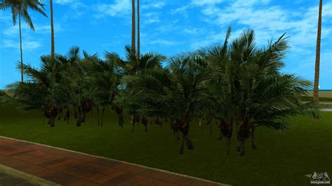 80s HD Vegetation Palm Trees For GTA Vice City