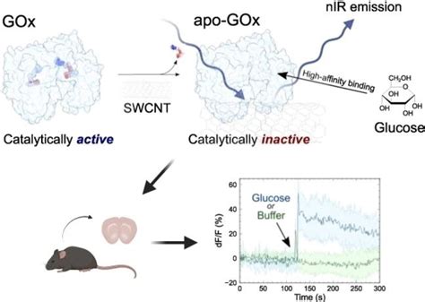 Battery Independent Fluorescent Nanosensor For Glucose Monitoring