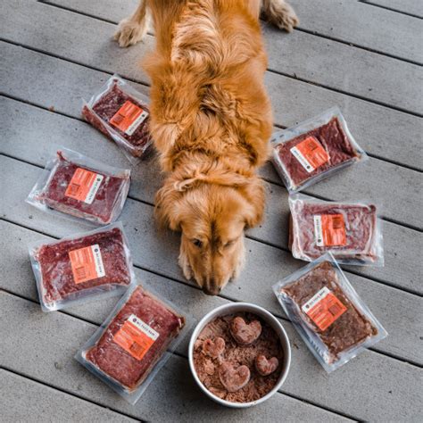 Do Dogs Need Grain In Their Diet