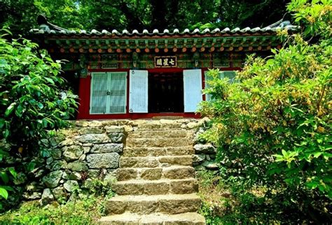 Daum 카페