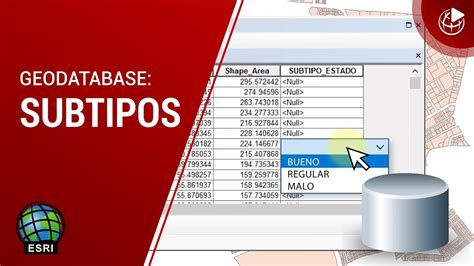 Descubre Cómo Definir Un Subtipo En Arcgis Y Su Poderoso Propósito