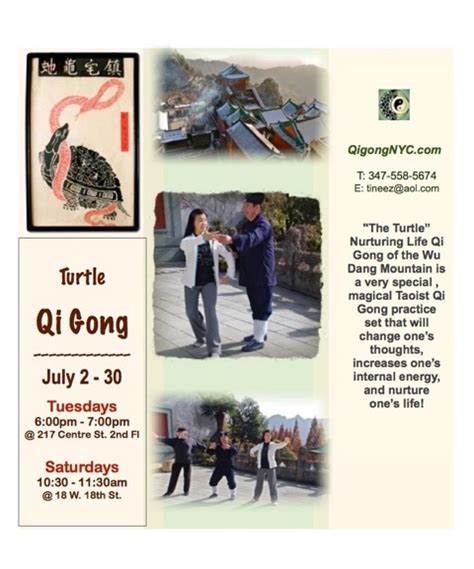 July Turtle Qi Gong Qi Gong New York