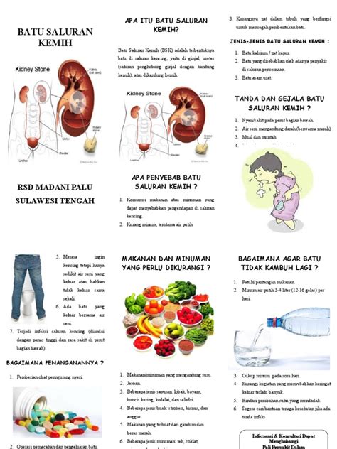 Leaflet Tambahan Batu Ginjal Pdf