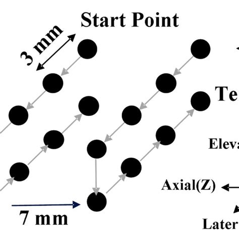 Multi Point Scanning Route For Large Volume Lesion The Scan Interval