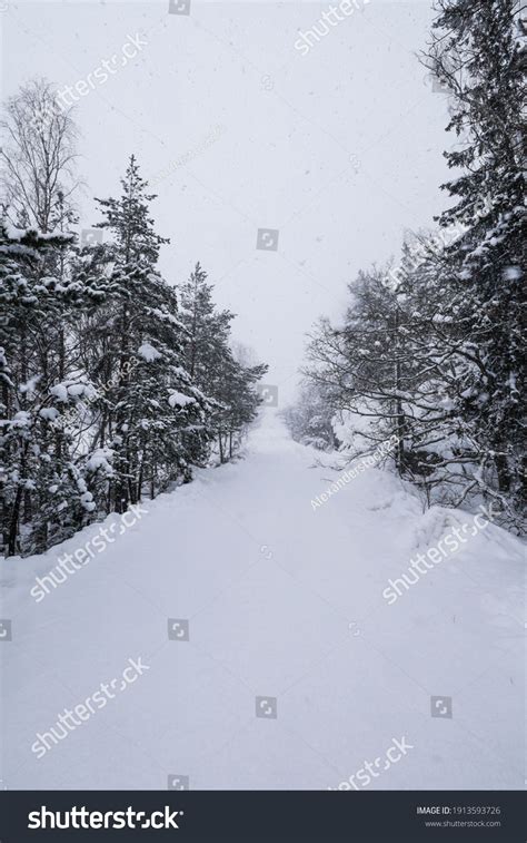 Musko Images, Stock Photos & Vectors | Shutterstock