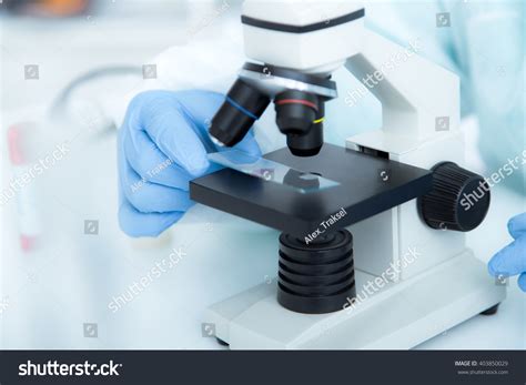 Woman Laboratory Microscope Microscope Slide Handtoned Stock Photo Shutterstock