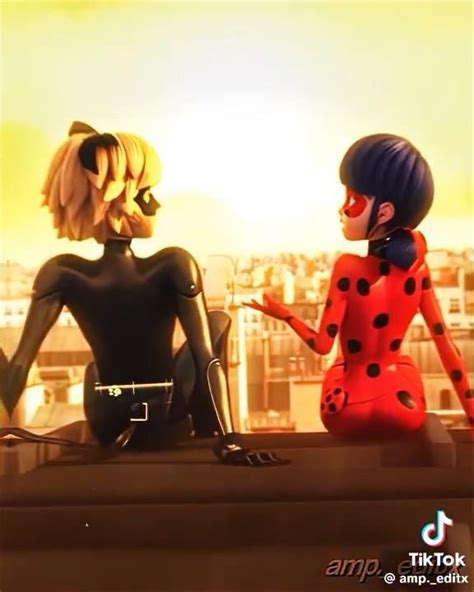Creds To Owner Video Miraculous Ladybug Funny Miraculous Ladybug
