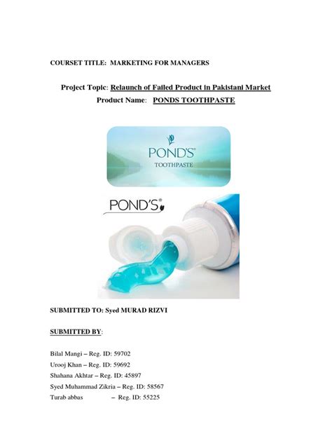 project report pdf