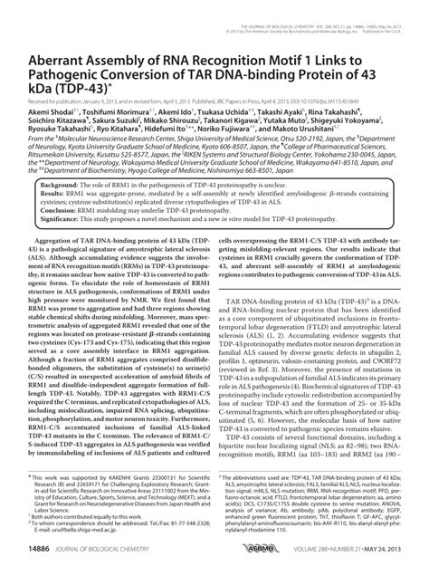 Pdf Aberrant Assembly Of Rna Recognition Motif 1 Links To Pathogenic Conversion Of Tar Dna