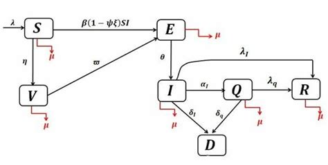 A Flowchart For Describing The Model Formulation Download Scientific