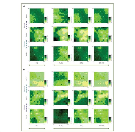 Spatial Distribution Characteristics Of The Carbon Cycle Ok Ordinary