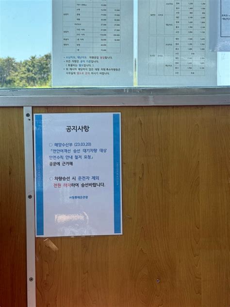 충남 당진 도비도항 배 타는 법 식당 주차장 낚시 용품 가게 등 네이버 블로그