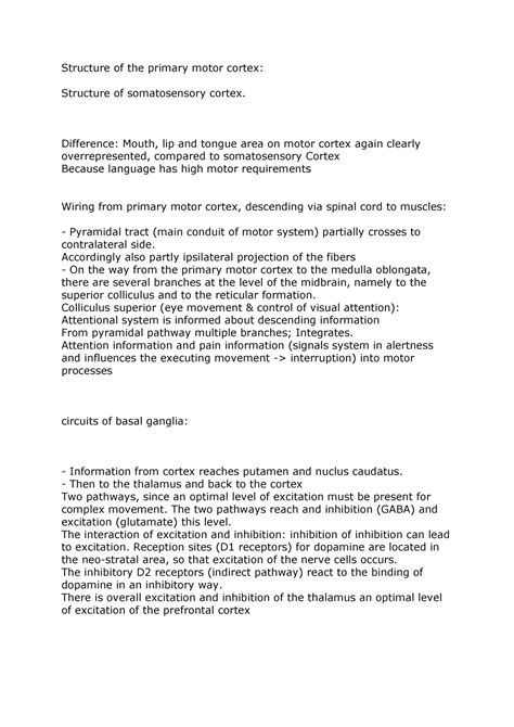 Structure Of The Primary Motor Cortex Structure Of The Primary Motor Cortex Structure Of