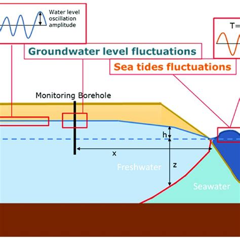 Conceptual Diagram Of Tidally Induced Groundwater Level Signals Over Download Scientific