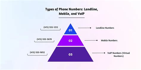미국 전화 번호 형식 1 국가 코드 및 예