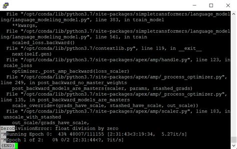 ZeroDivisionError When Trying To Train Electra Issue ThilinaRajapakse