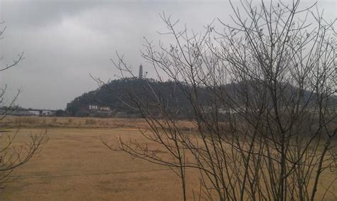 蘭溪八景之平沙落雁 每日頭條