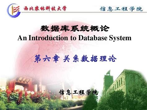 第6章 Databaseword文档在线阅读与下载无忧文档