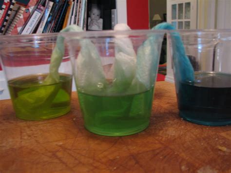 Science Matters Transporting Water And Finding Equilibrium