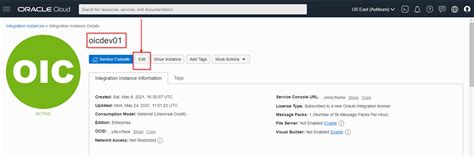 Oracle Integration Instance Edition Message Pricing And License Types