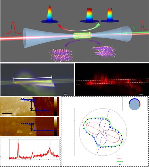 Schematic Diagram Of A Microfiber And Surface Morphologies Of The Download Scientific Diagram