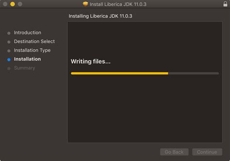 Liberica JDK 11 0 6 10 Install Guide