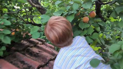 Децата обичат да ходят до магазина за плод 😍 Youtube