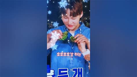 ㅎㅎㅎㅎ~ 호강하는 박서진 알흠다워요 최강 살림남 박서진 홍지윤 요요미 특별출연 Youtube